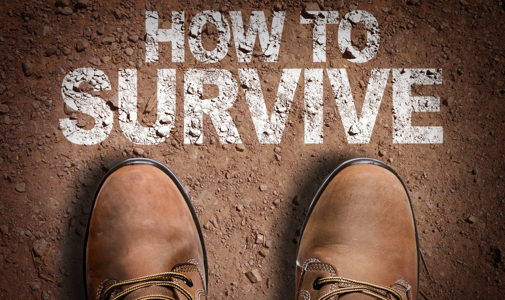 Skills to Hone During the COVID-19 Lockdown • The Havok Journal