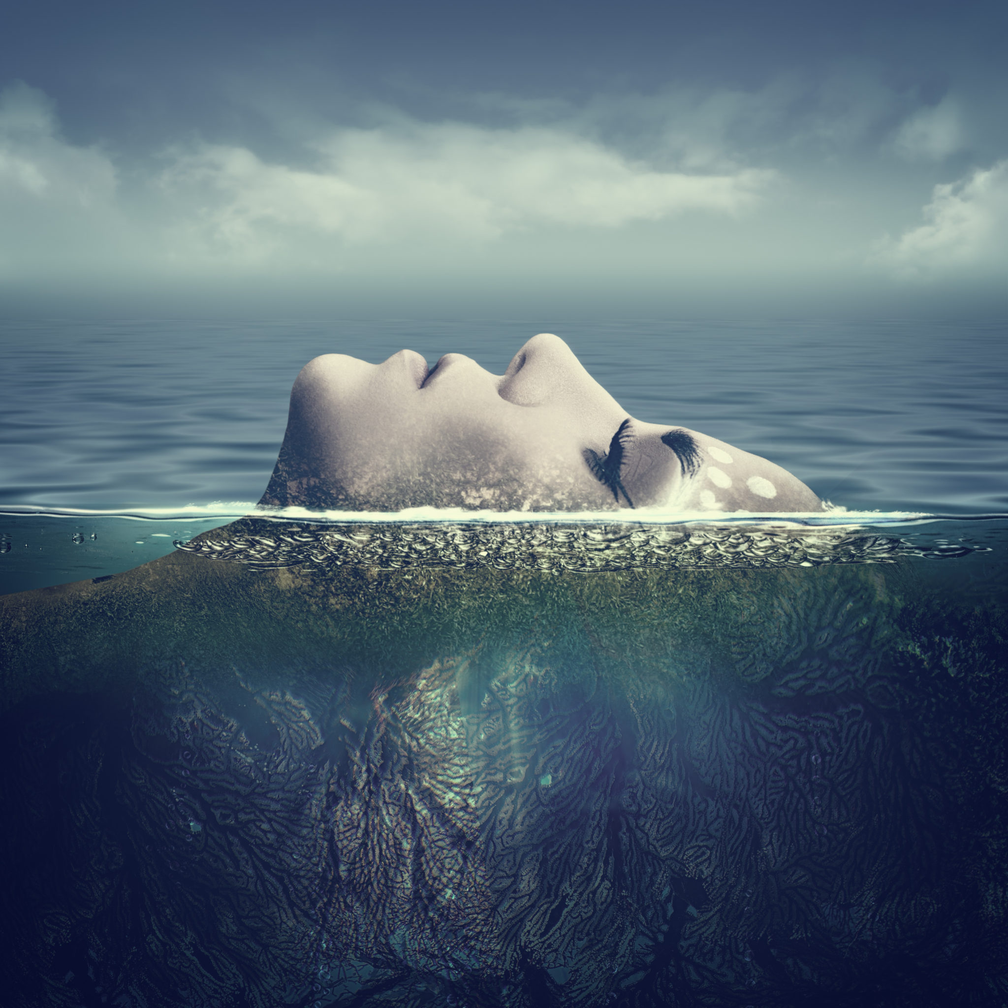 Stillness • The Havok Journal