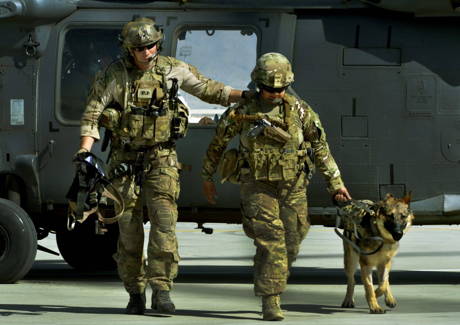 Lessons Learned from a SOF Multi-Purpose Canine • The Havok Journal ...