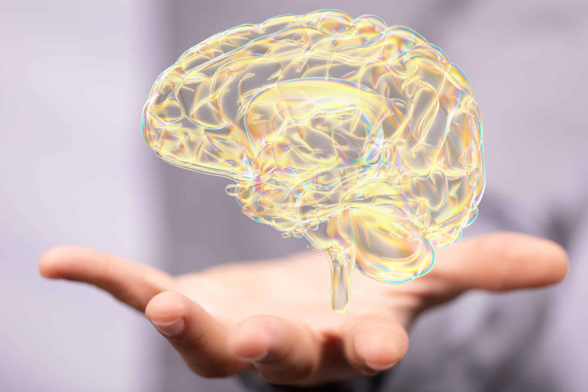 Capturing My Thoughts Before They Disappear • The Havok Journal