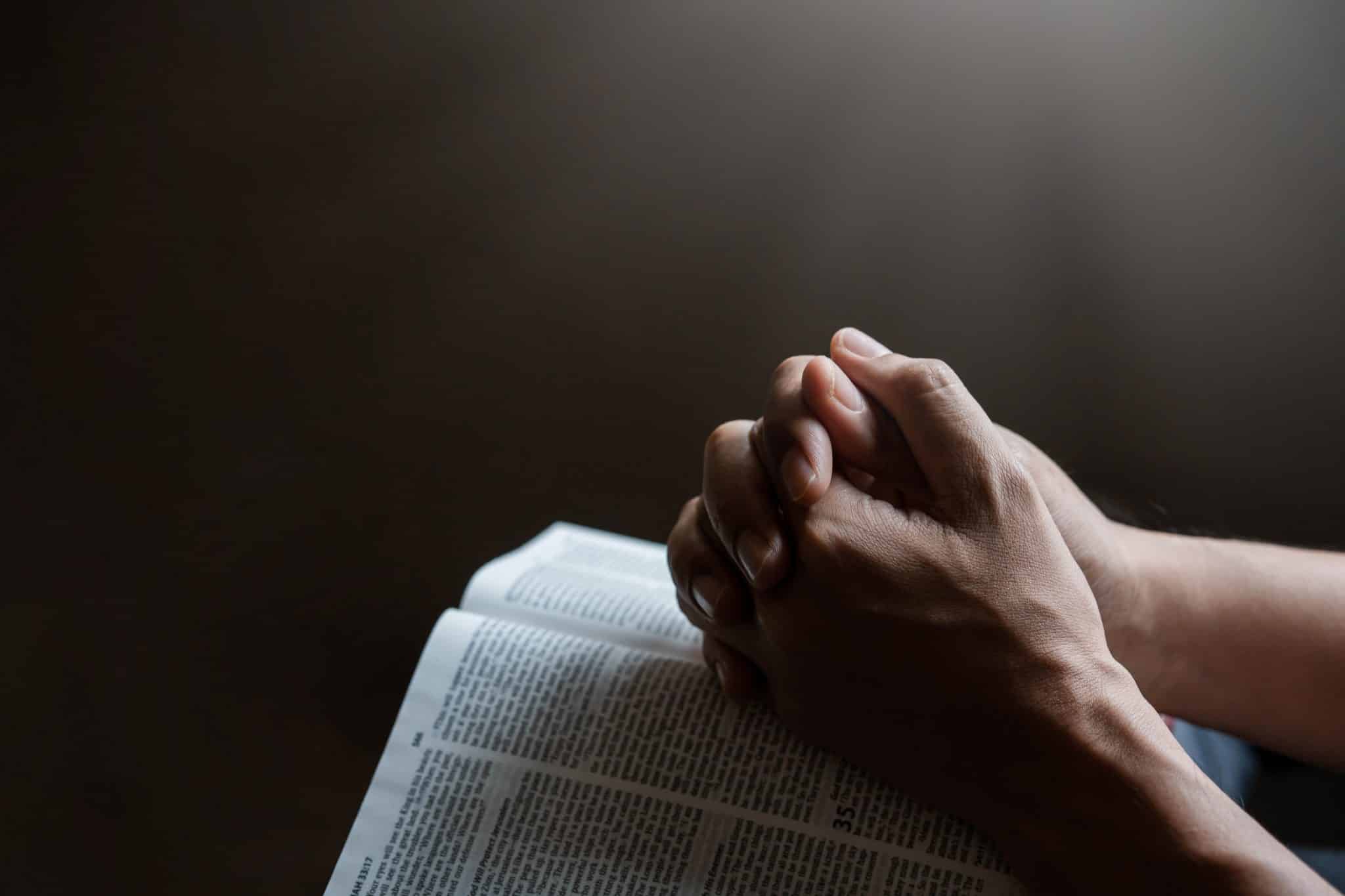 In the Silence of Our Home • The Havok Journal | Military & Veteran ...