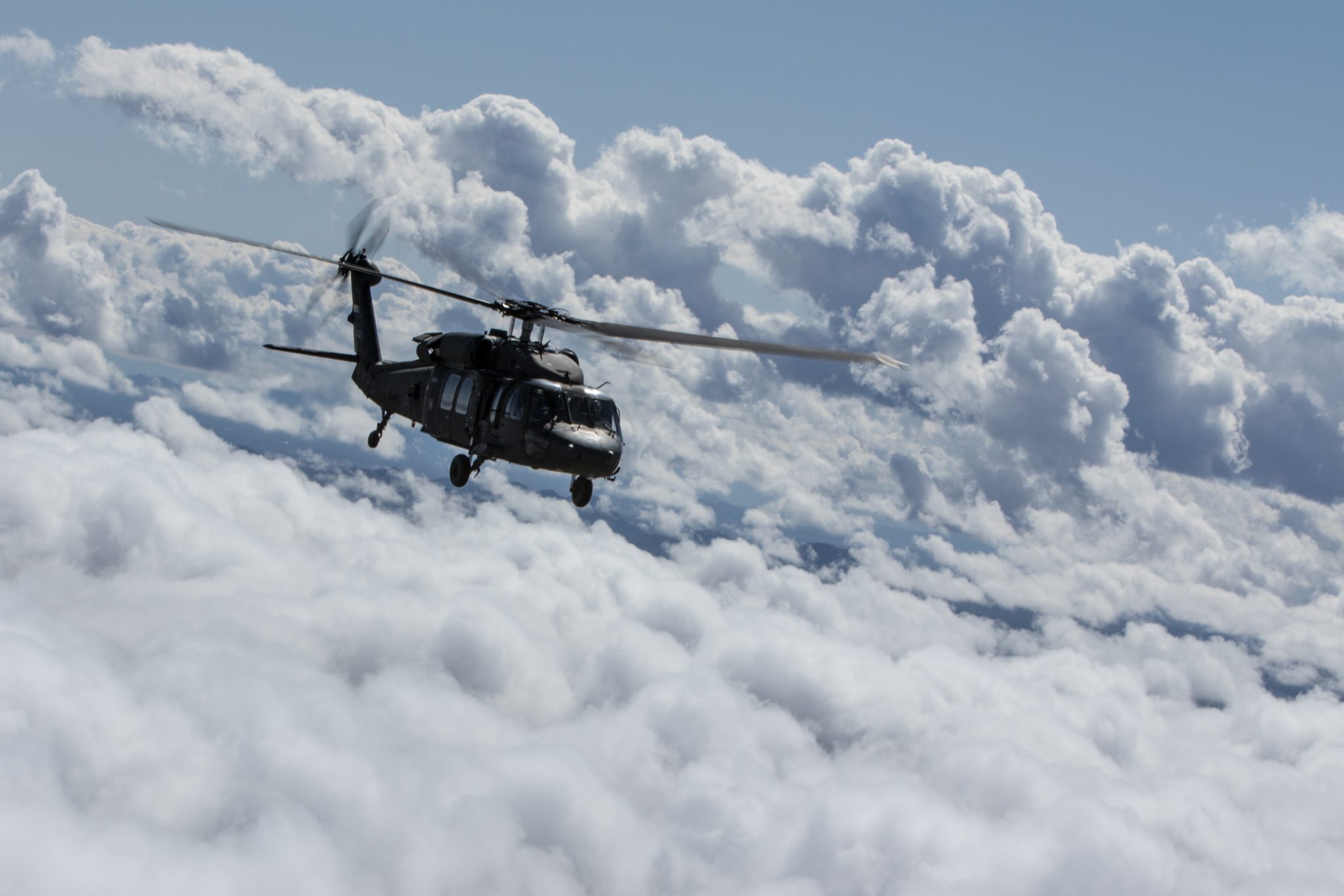 Pure Joy • The Havok Journal | Military & Veteran News, Commentary, Culture