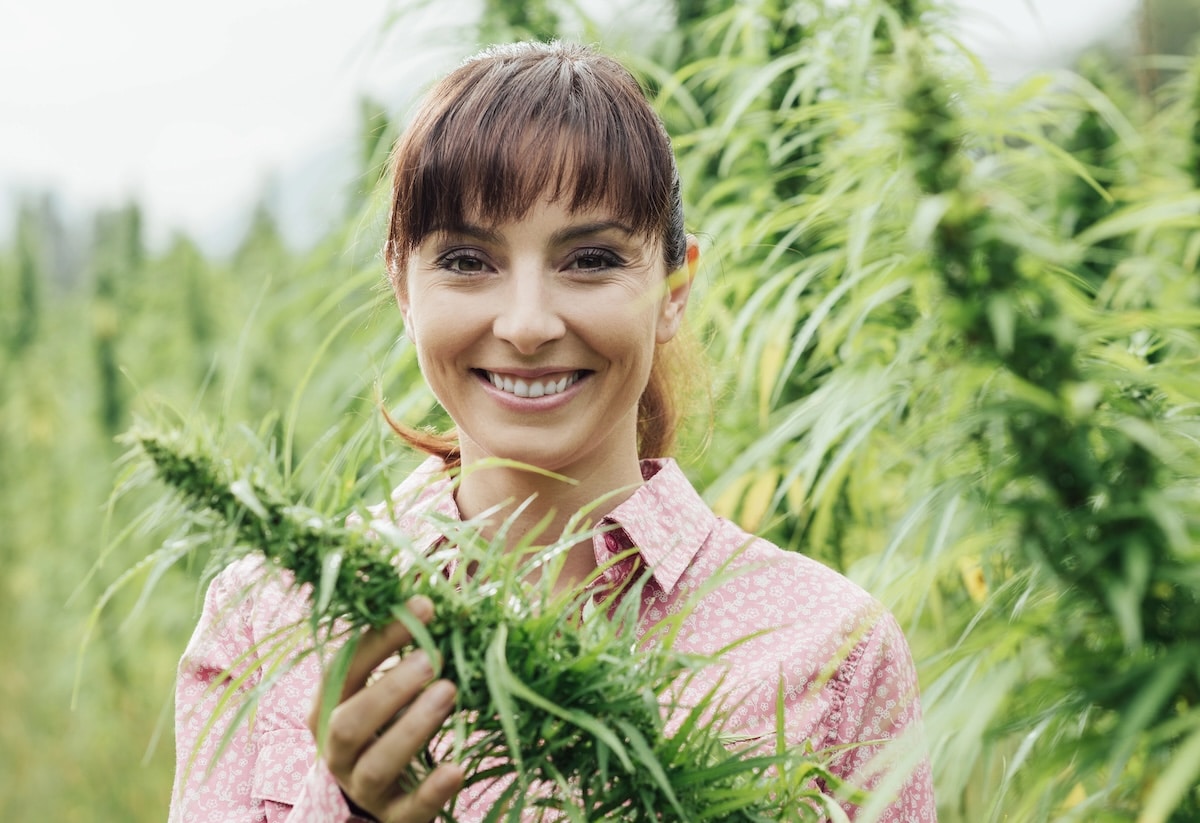 Comparing THCA And Delta 8: Key Differences • The Havok Journal ...