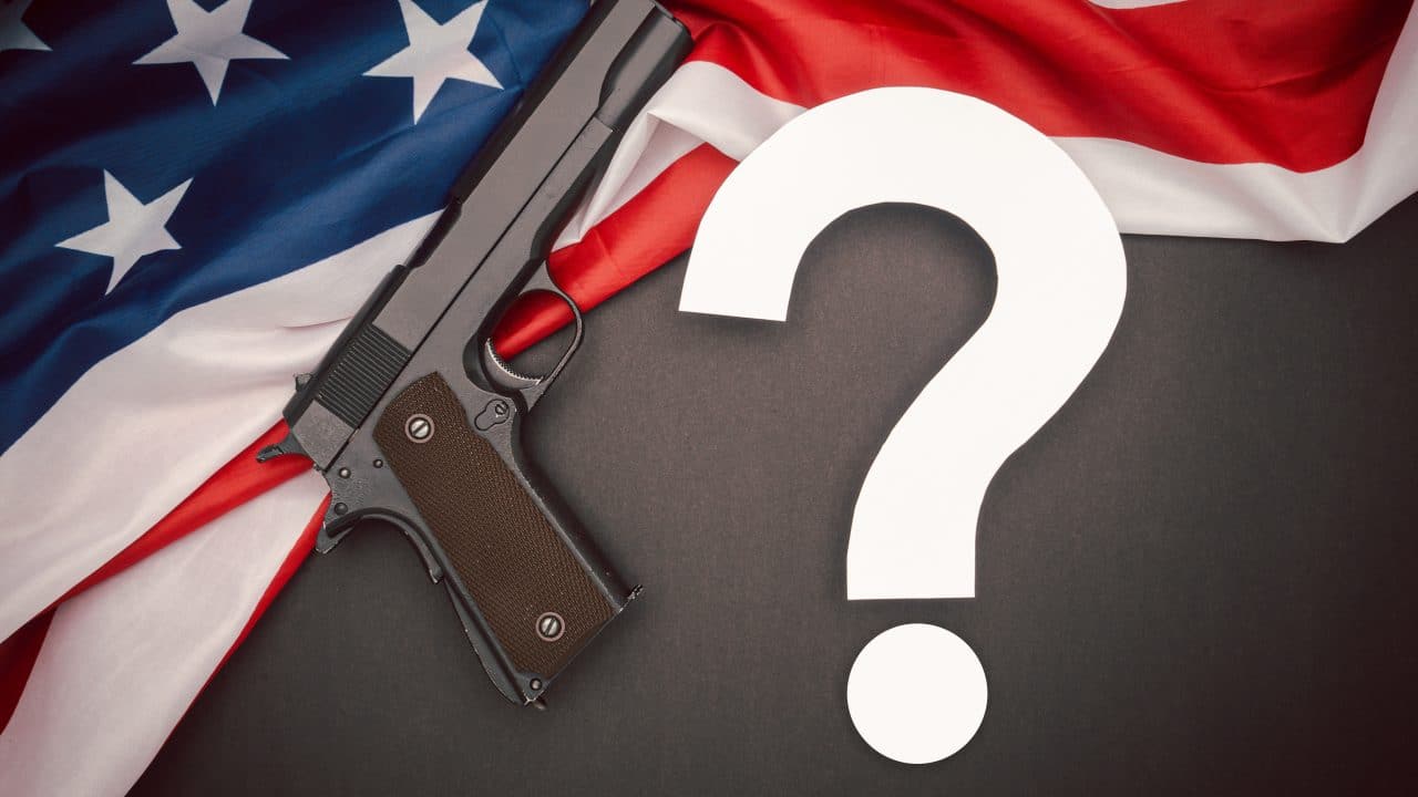 How Many Guns in the U.S.? All About America's Firearms in 2024 • The ...