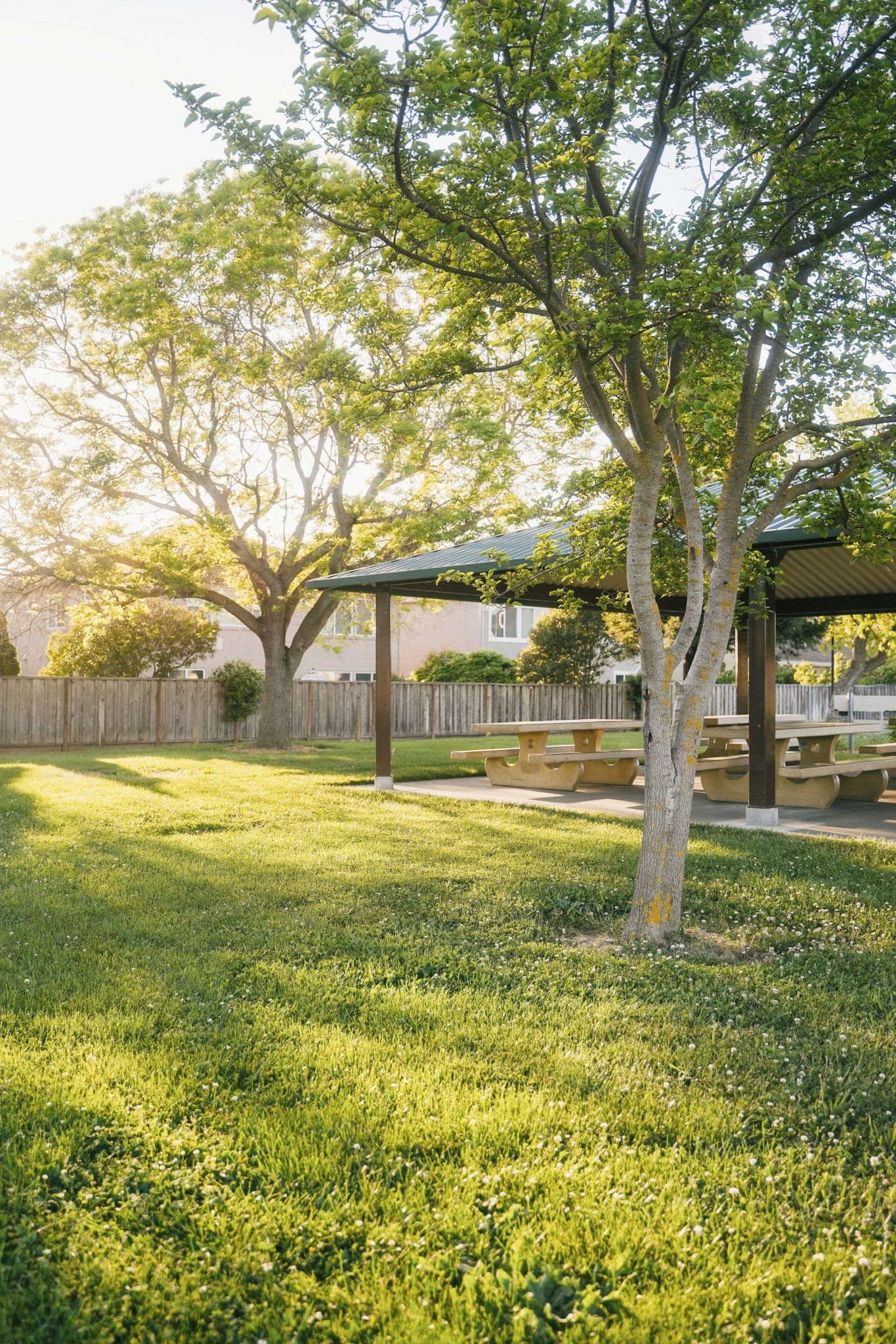 How to Transform Your Backyard into a Stress-Free Zone • The Havok ...