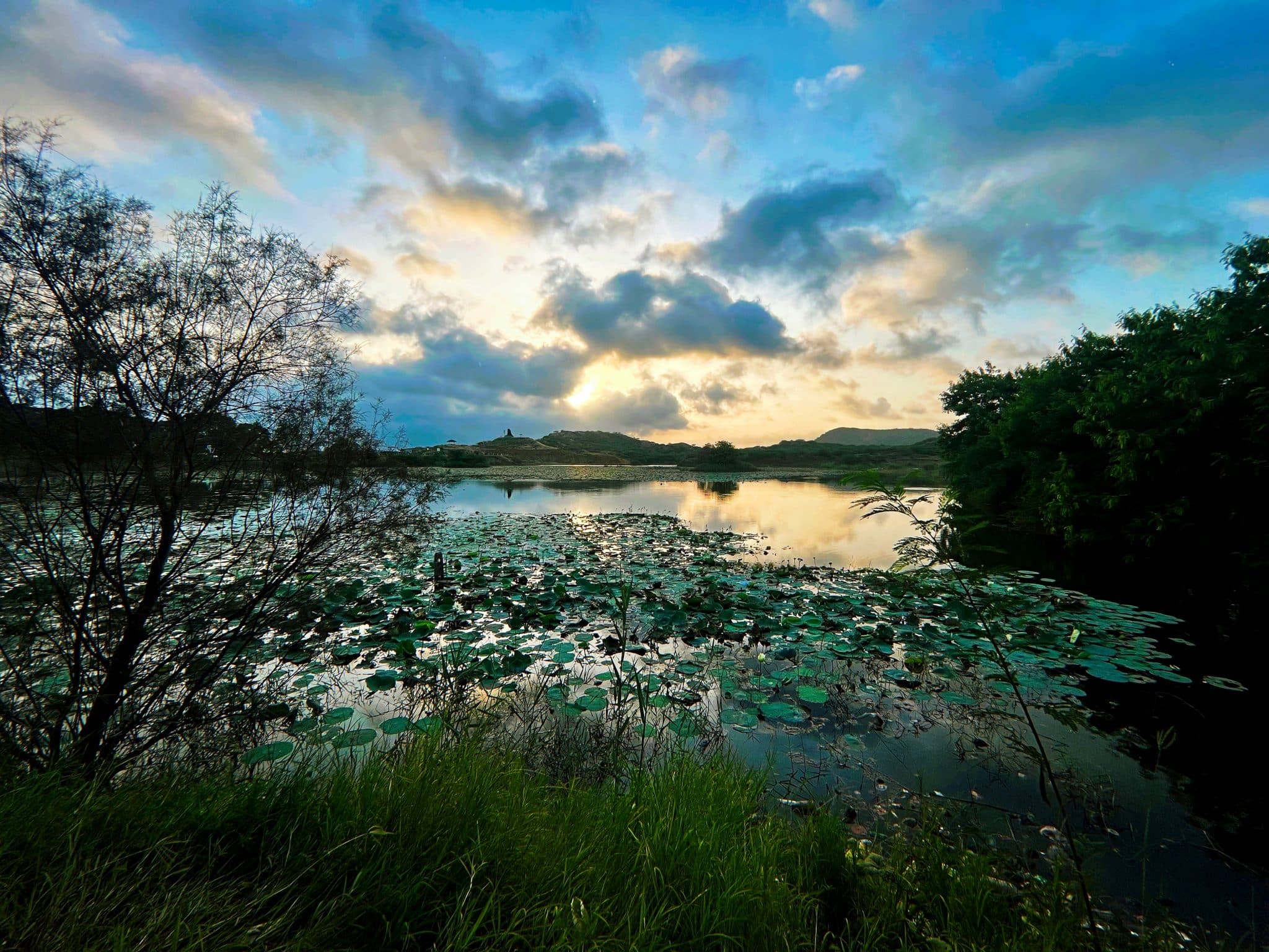Beautiful Good Morning Images by StockCake: Start Mornings the Picture ...