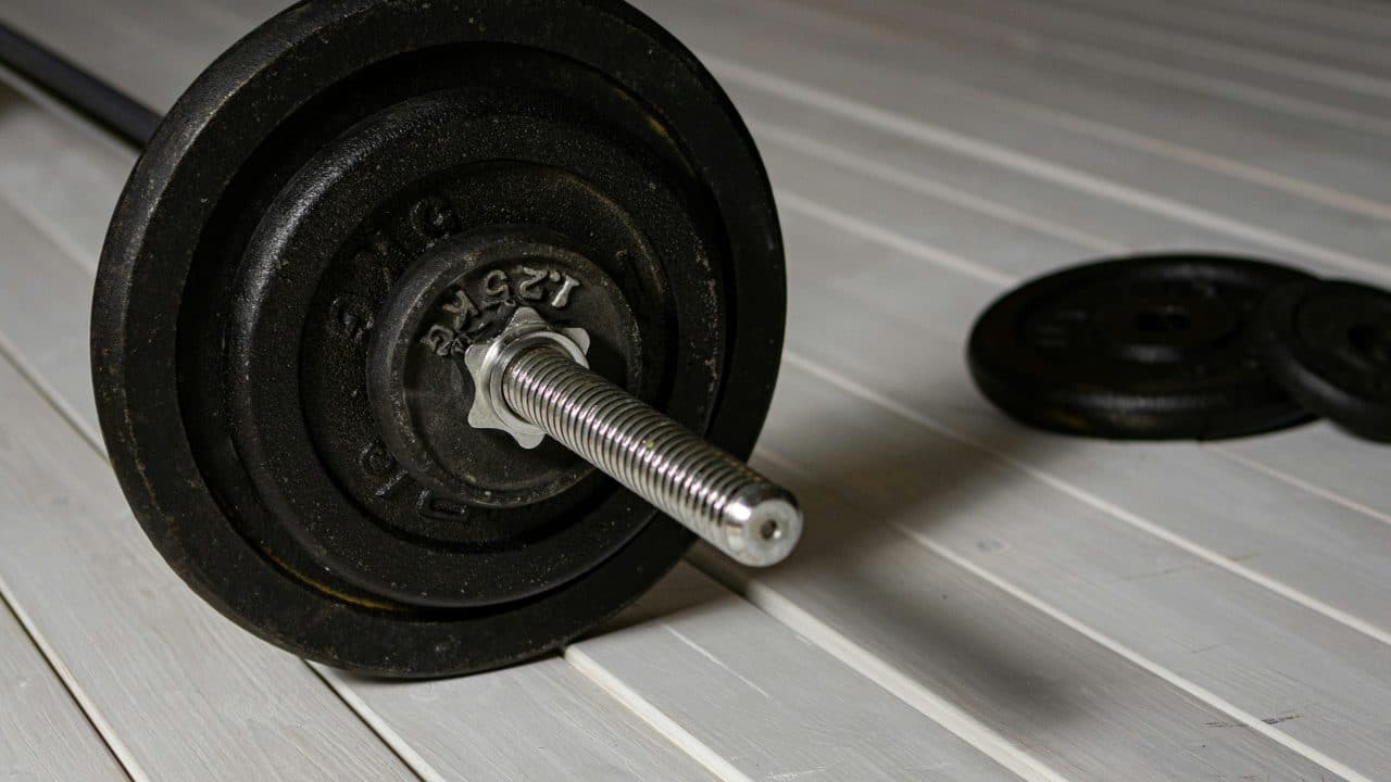 Find the Perfect Incline Bench Angle to Maximize Muscle • The Havok ...