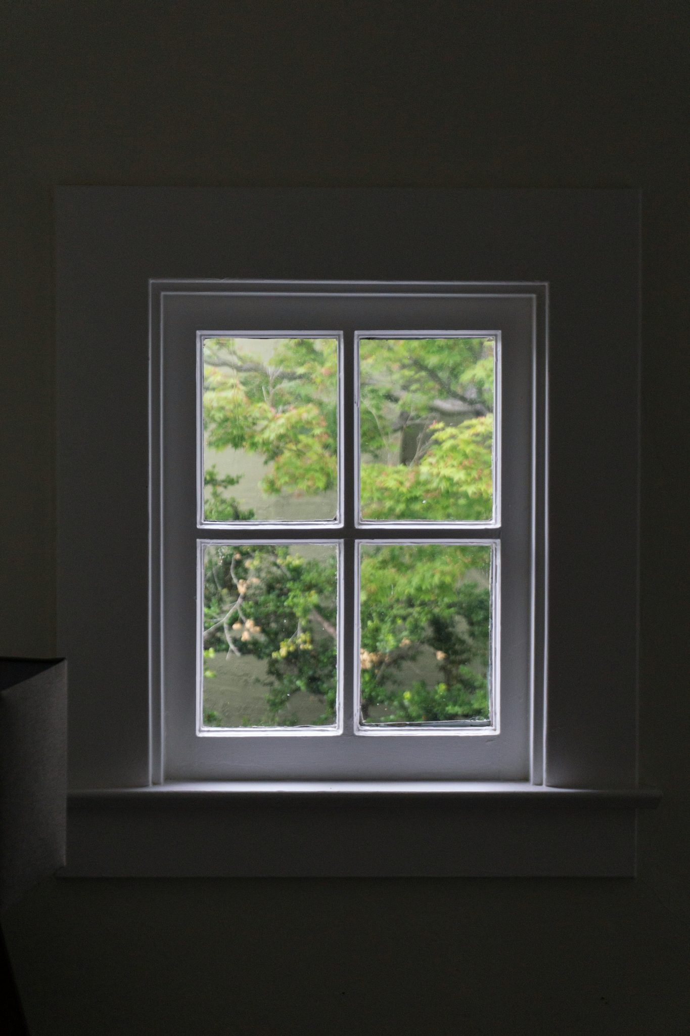 Window Installation Decisions That Actually Save Florida Homes • The ...